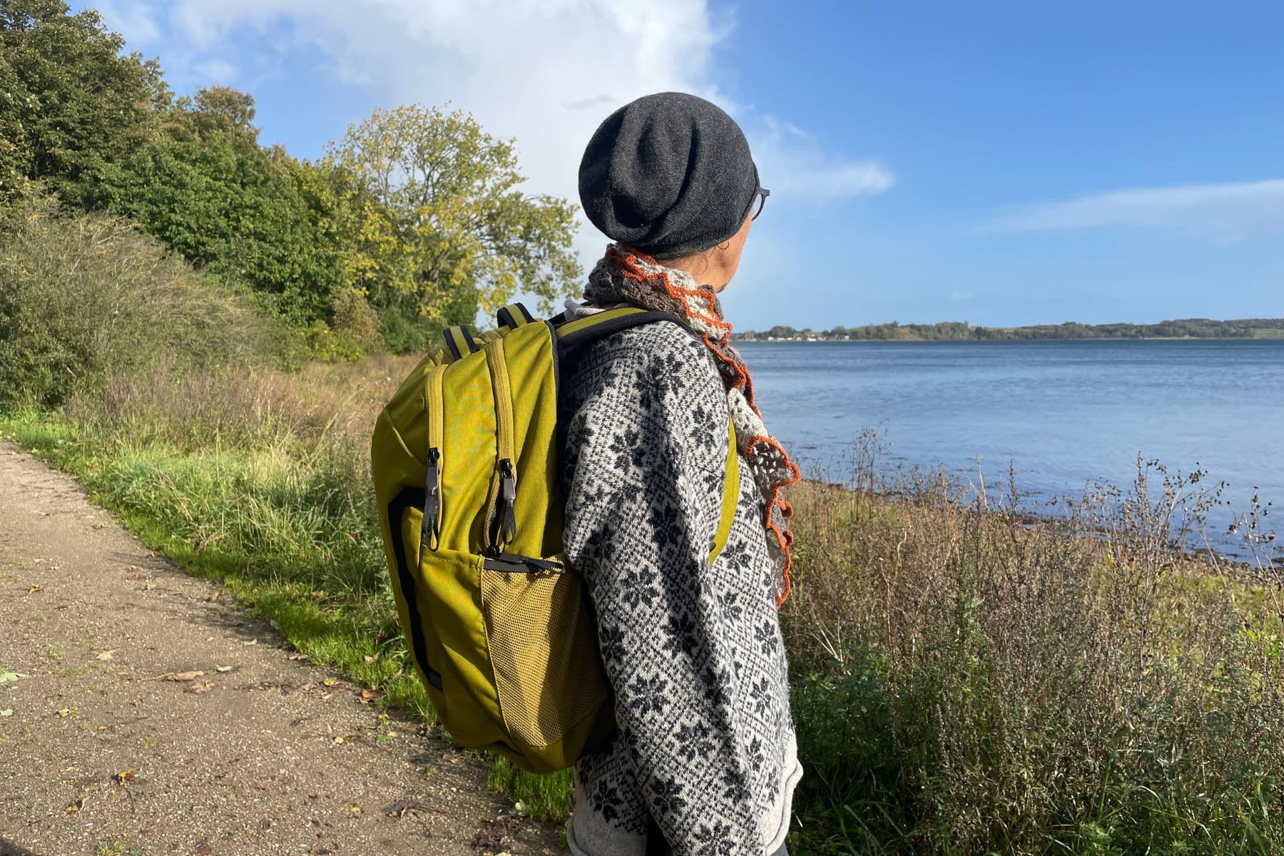 The North Face Vault Backpack Reviewed in 2026