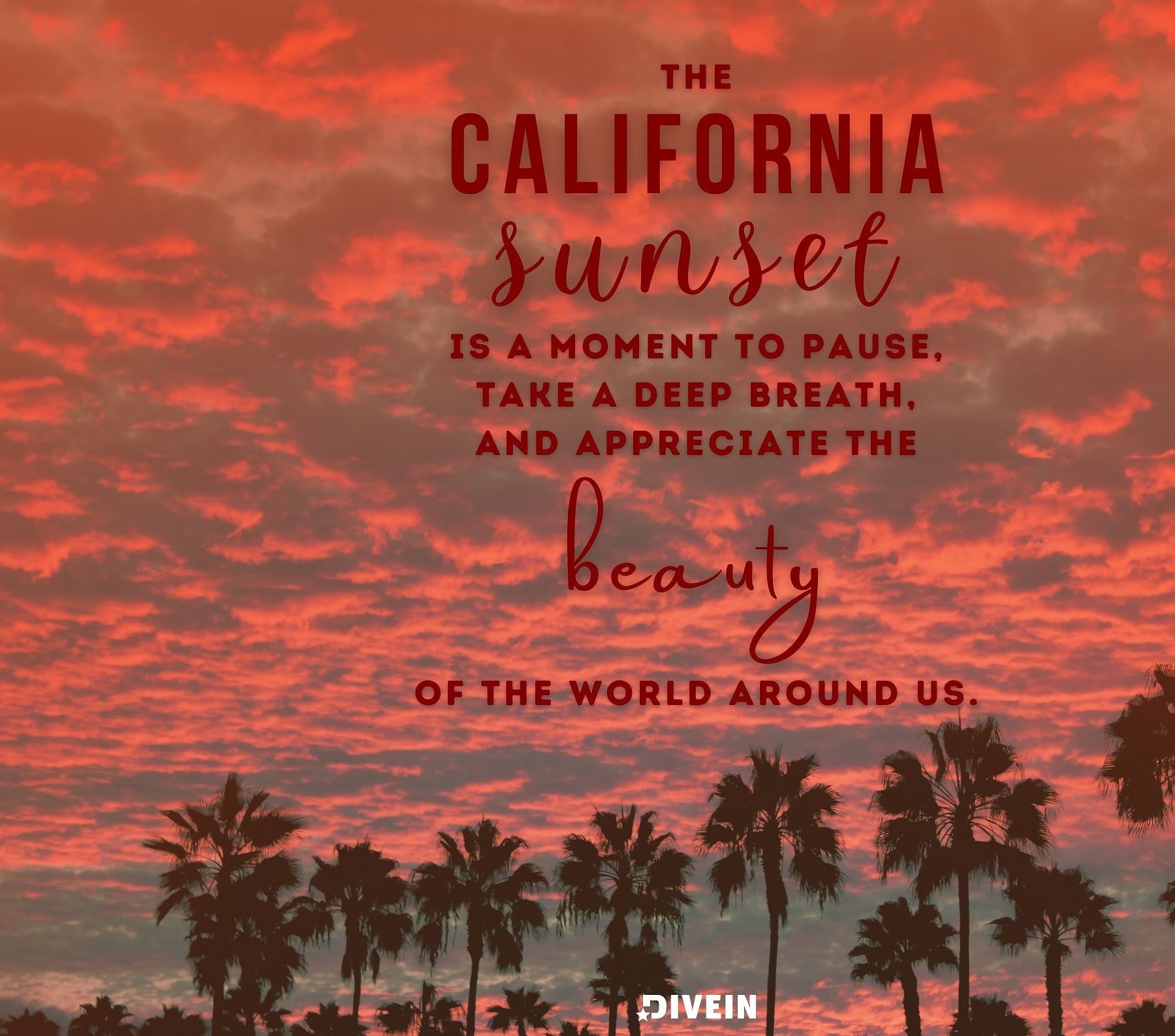 201+ Creative California Instagram Captions & Cali Quotes - Outoria