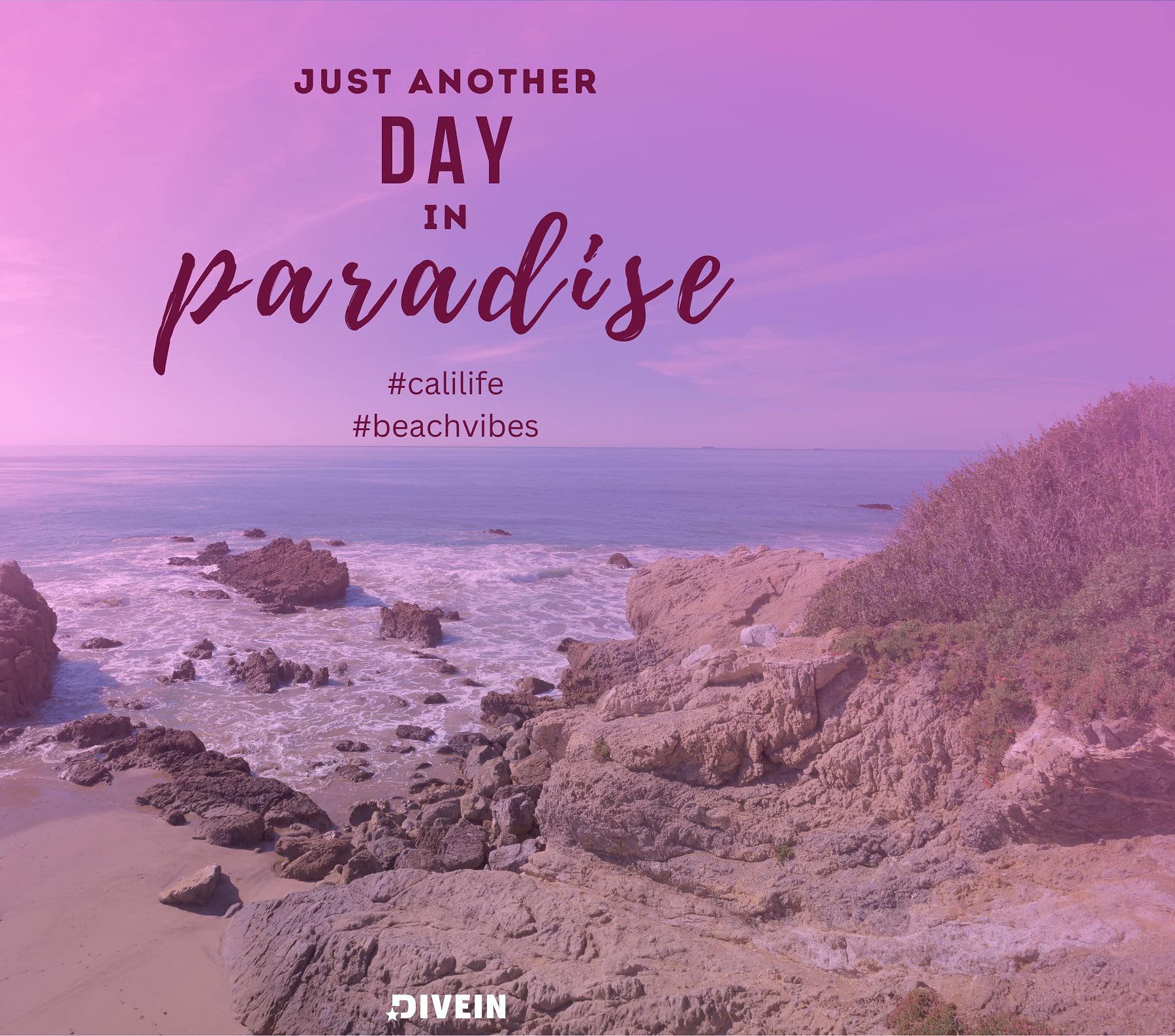 201+ Creative California Instagram Captions & Cali Quotes - Outoria