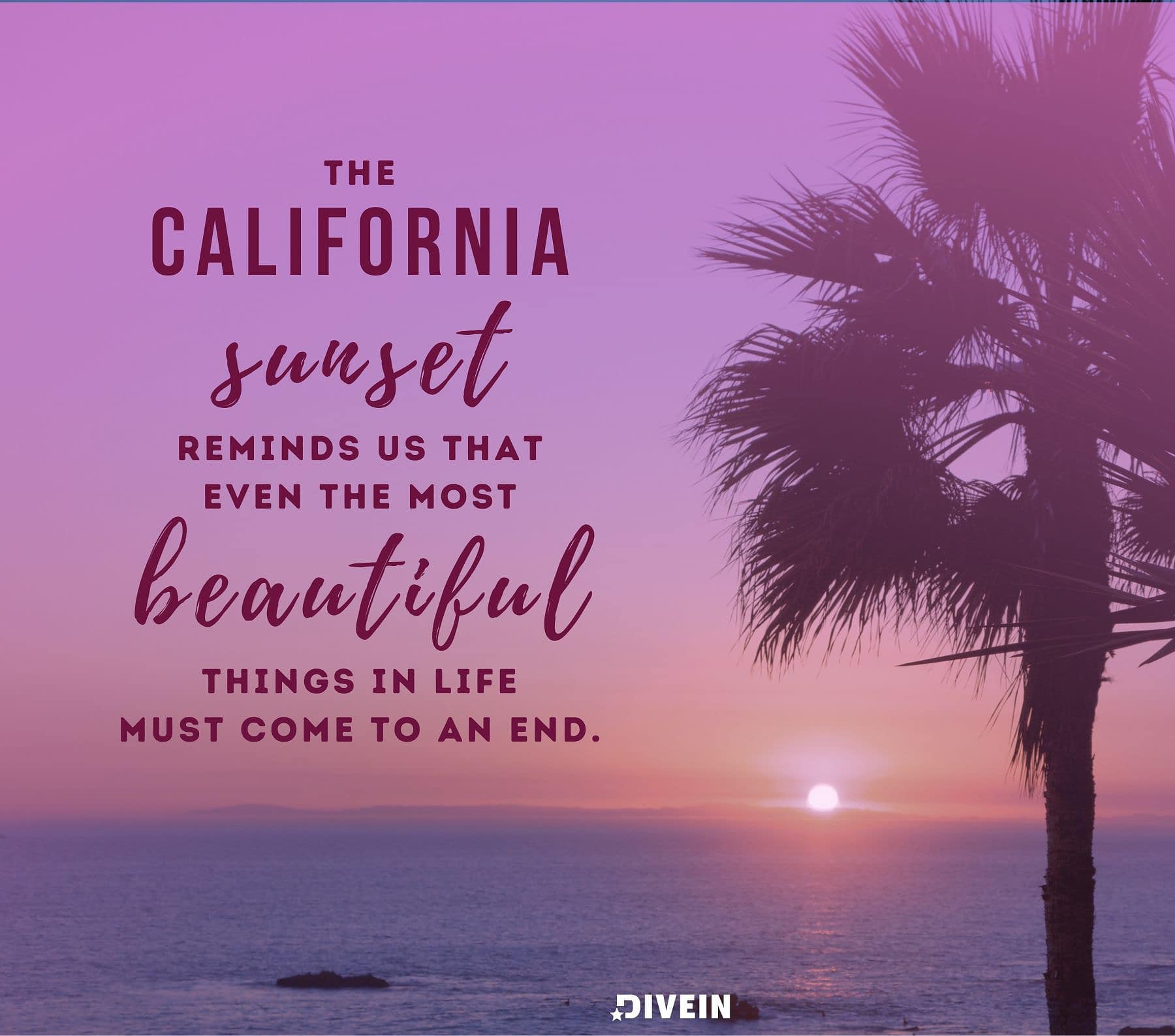 201+ Creative California Instagram Captions & Cali Quotes - Outoria